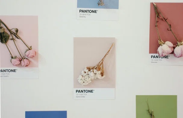 How To Design With Color